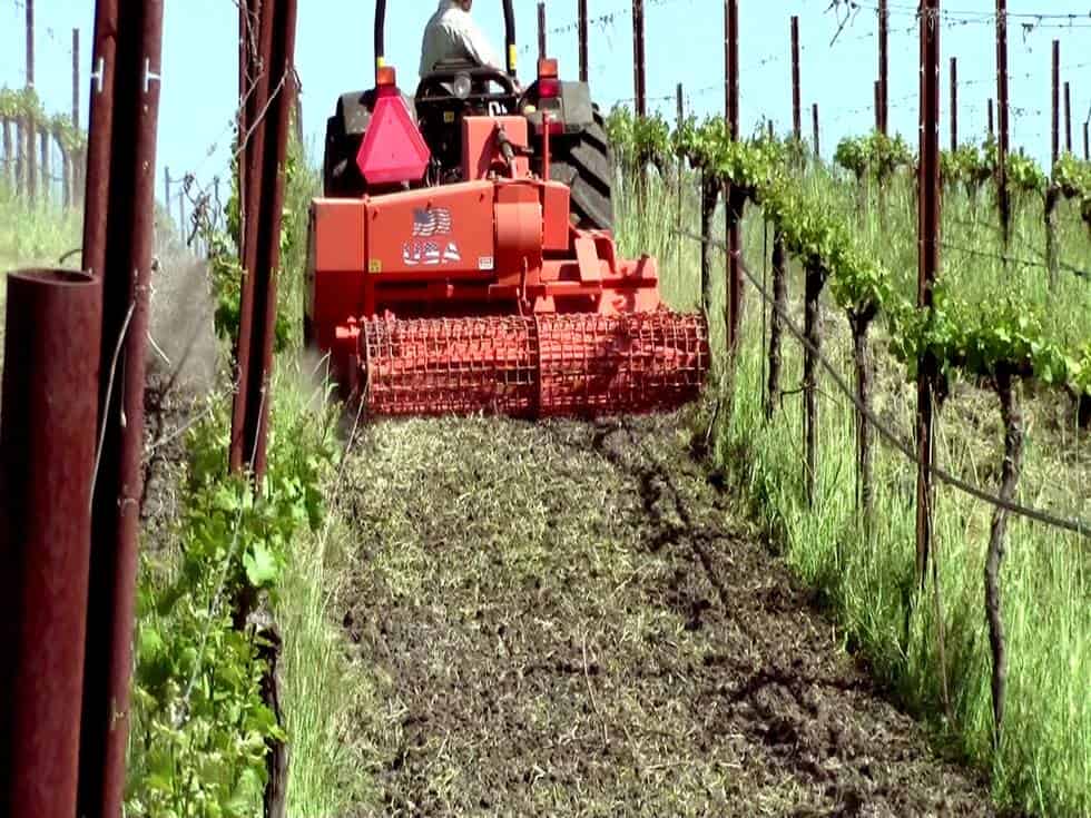 Vineyard Tiller - Northwest Tillers