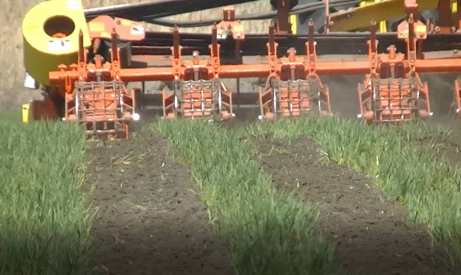 Strip Till - Northwest Tillers